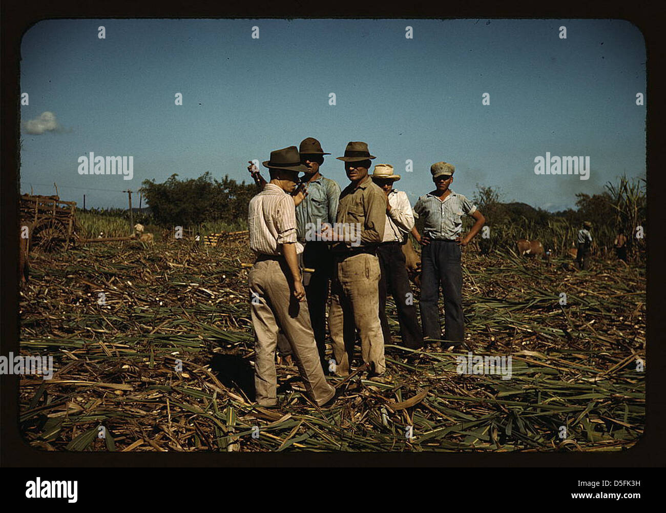 Manual labor 1940s hi-res stock photography and images - Alamy