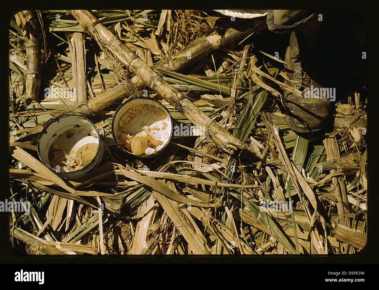 A sugar worker in Guanica, Puerto Rico, is photographed enjoying a ...