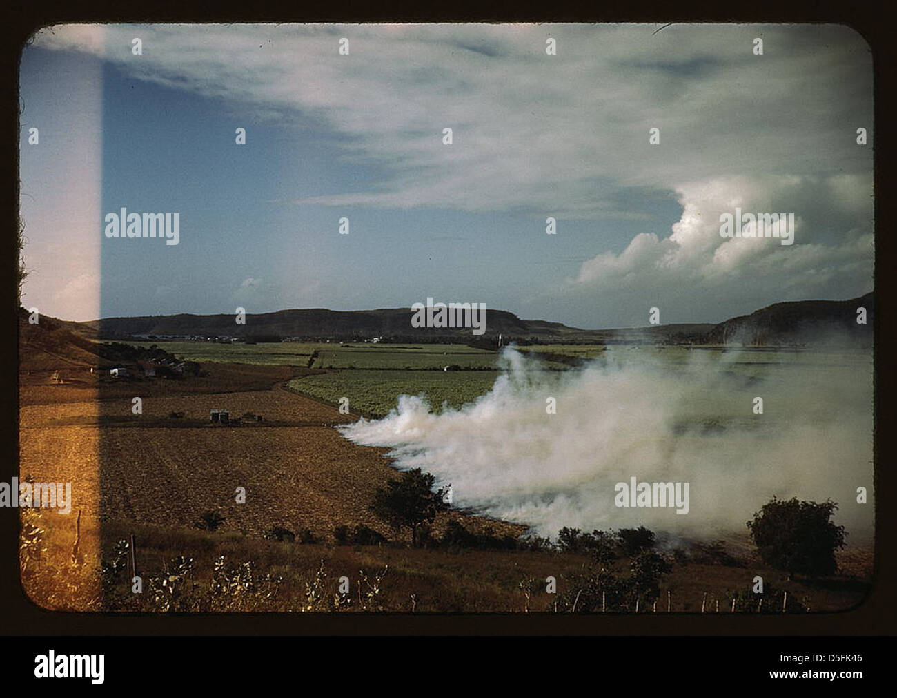 Burning sugar cane harvest field hi-res stock photography and images ...