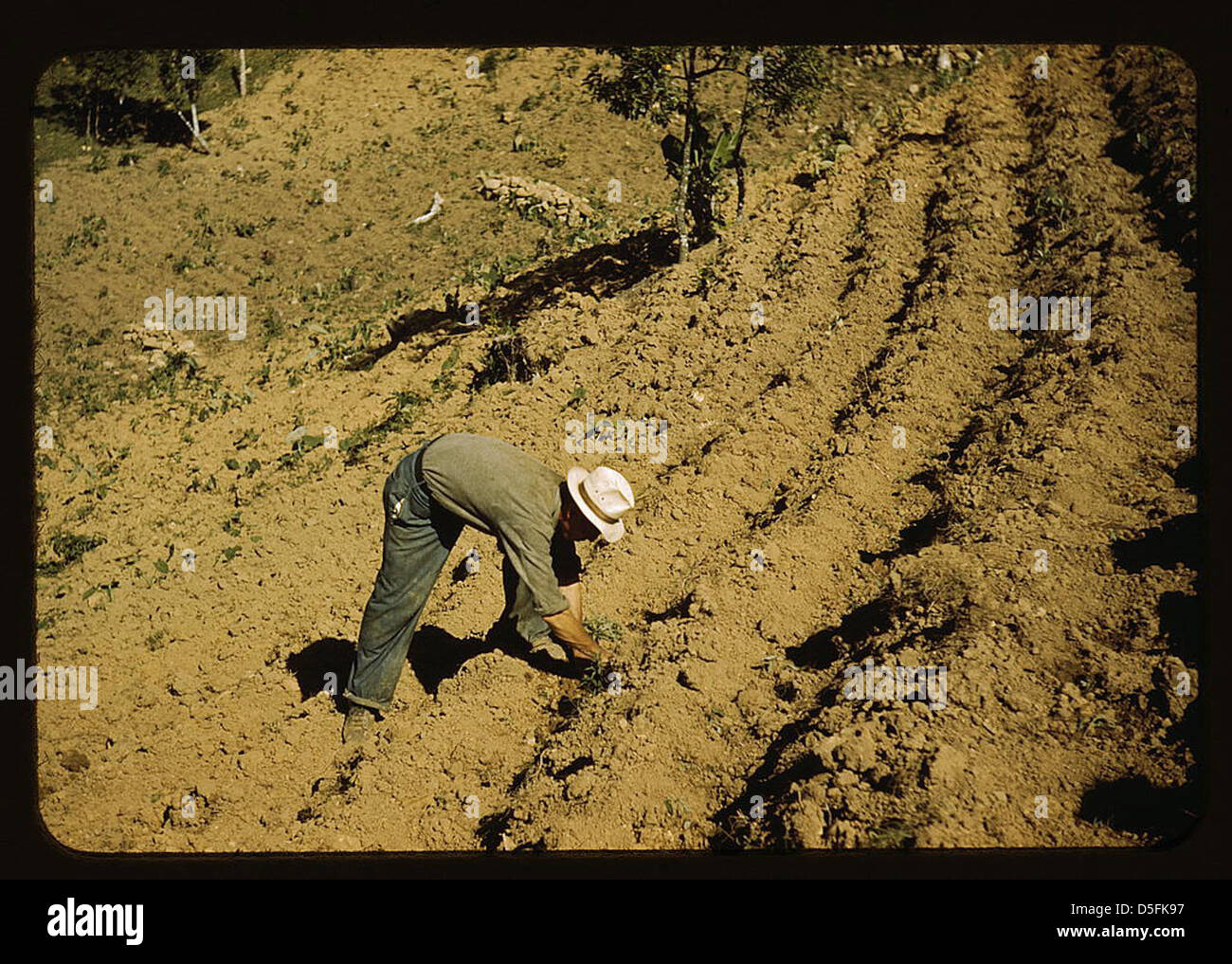 Contourfarming hi-res stock photography and images - Alamy