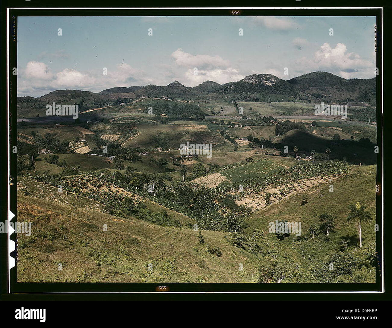 Corozal puerto rico hi-res stock photography and images - Alamy