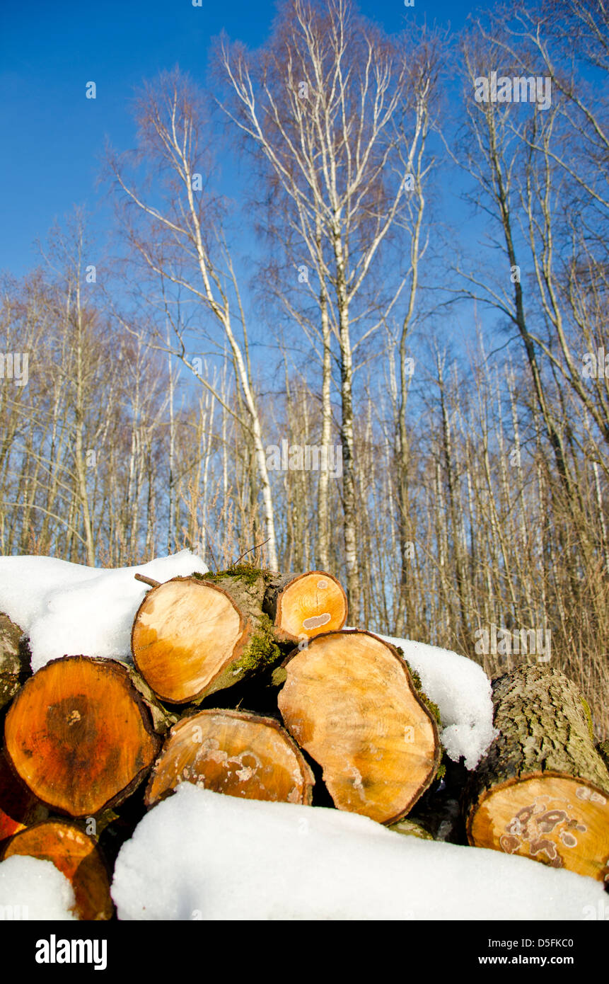Firewood with snow hi-res stock photography and images - Alamy