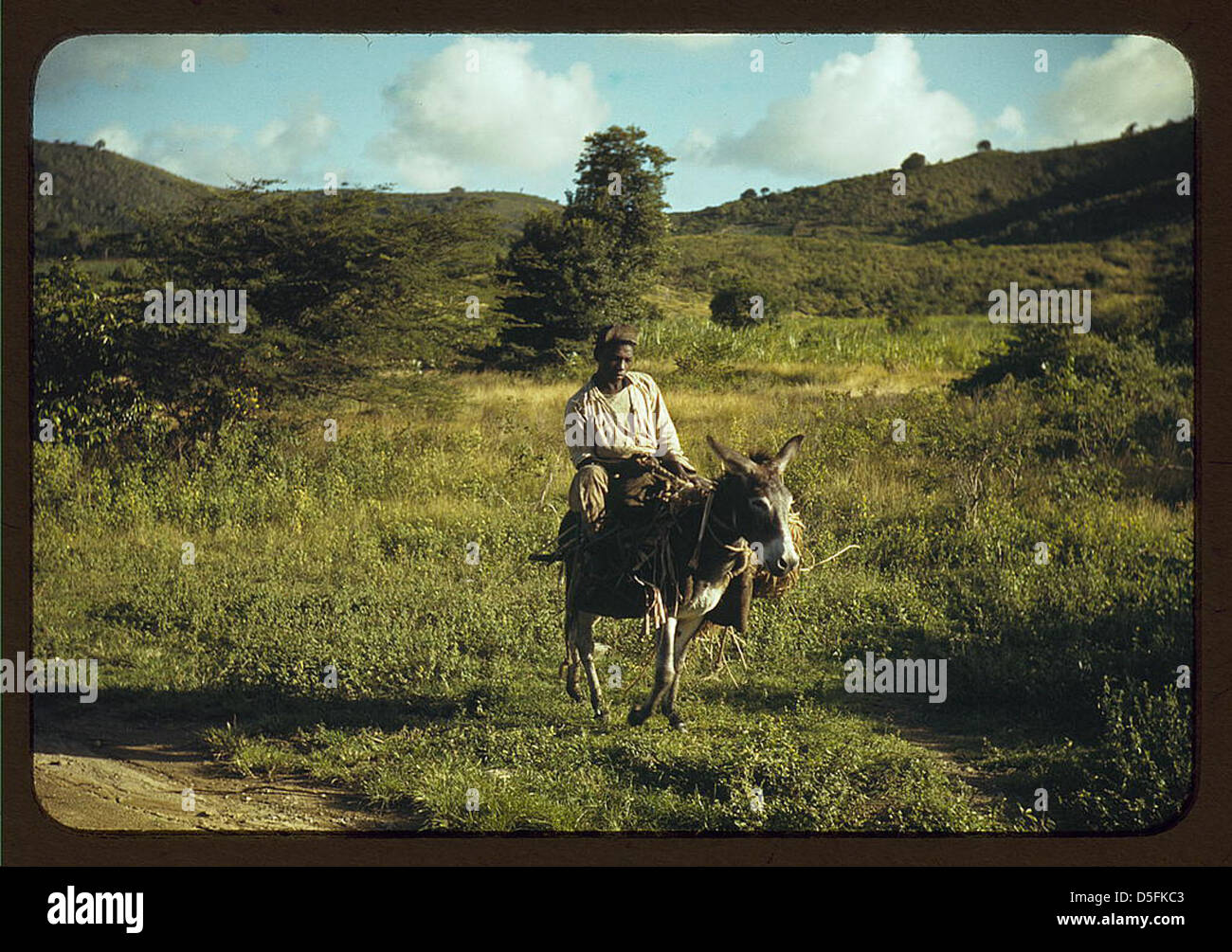 A 1941 photograph of Jack Delano riding a burro on St. Croix in the Virgin Islands. The image ...