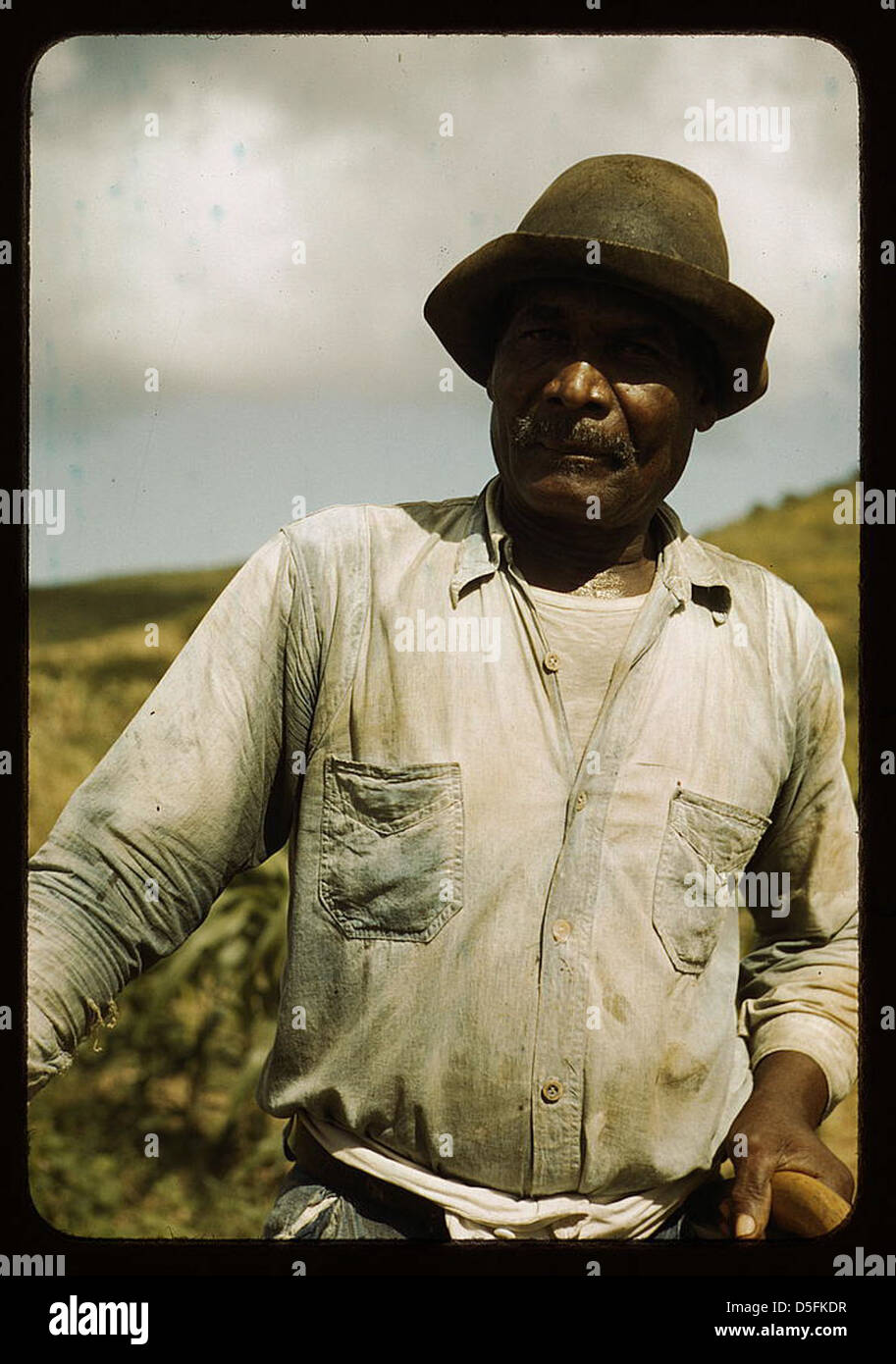 A photograph of a Farm Security Administration borrower in Frederiksted ...