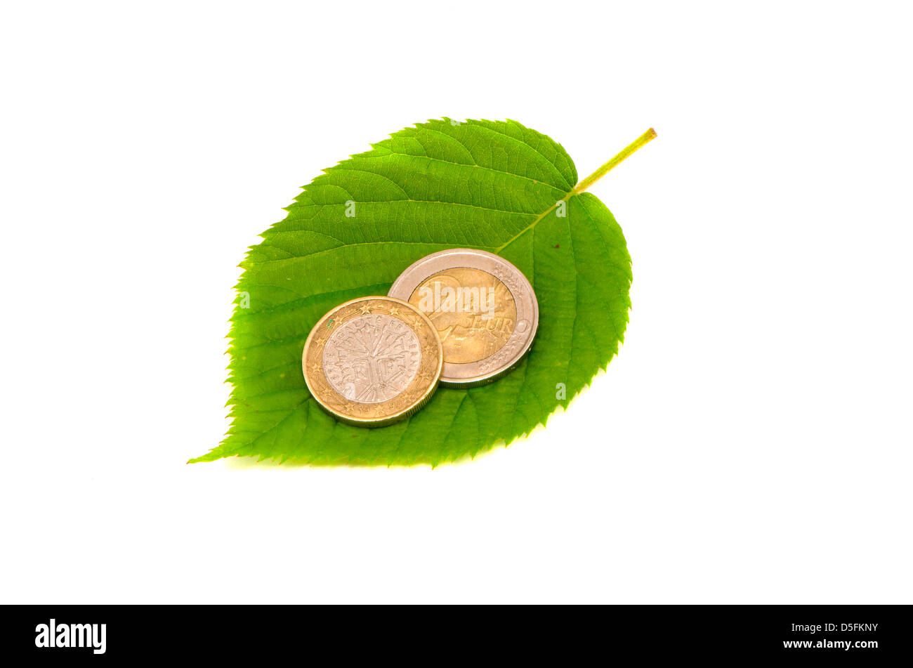 ecology is a future money. Two euro coins on green tree leaf concept ...