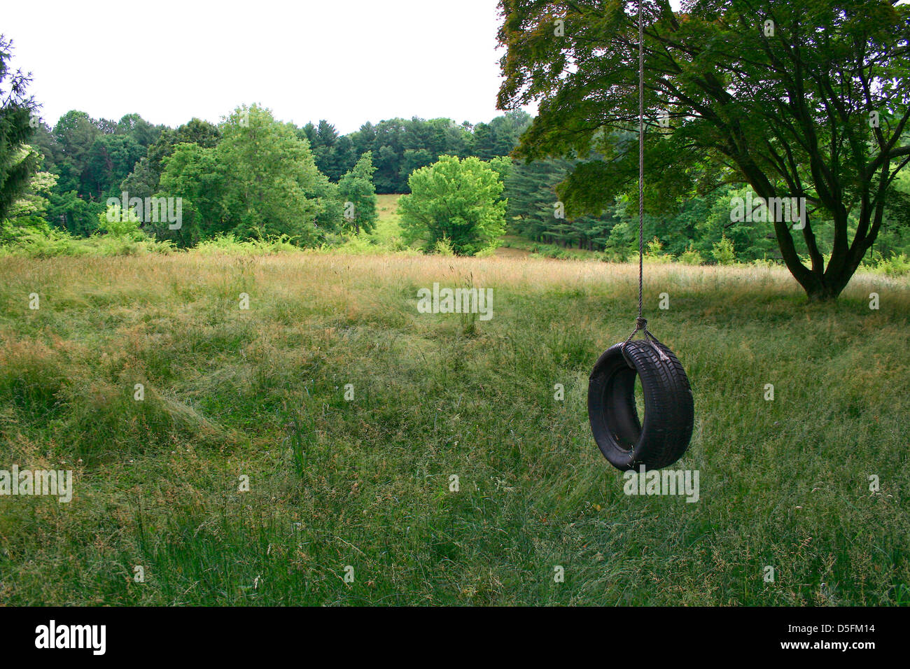 Old swing made with a wheel hanging from a tree Stock Photo - Alamy