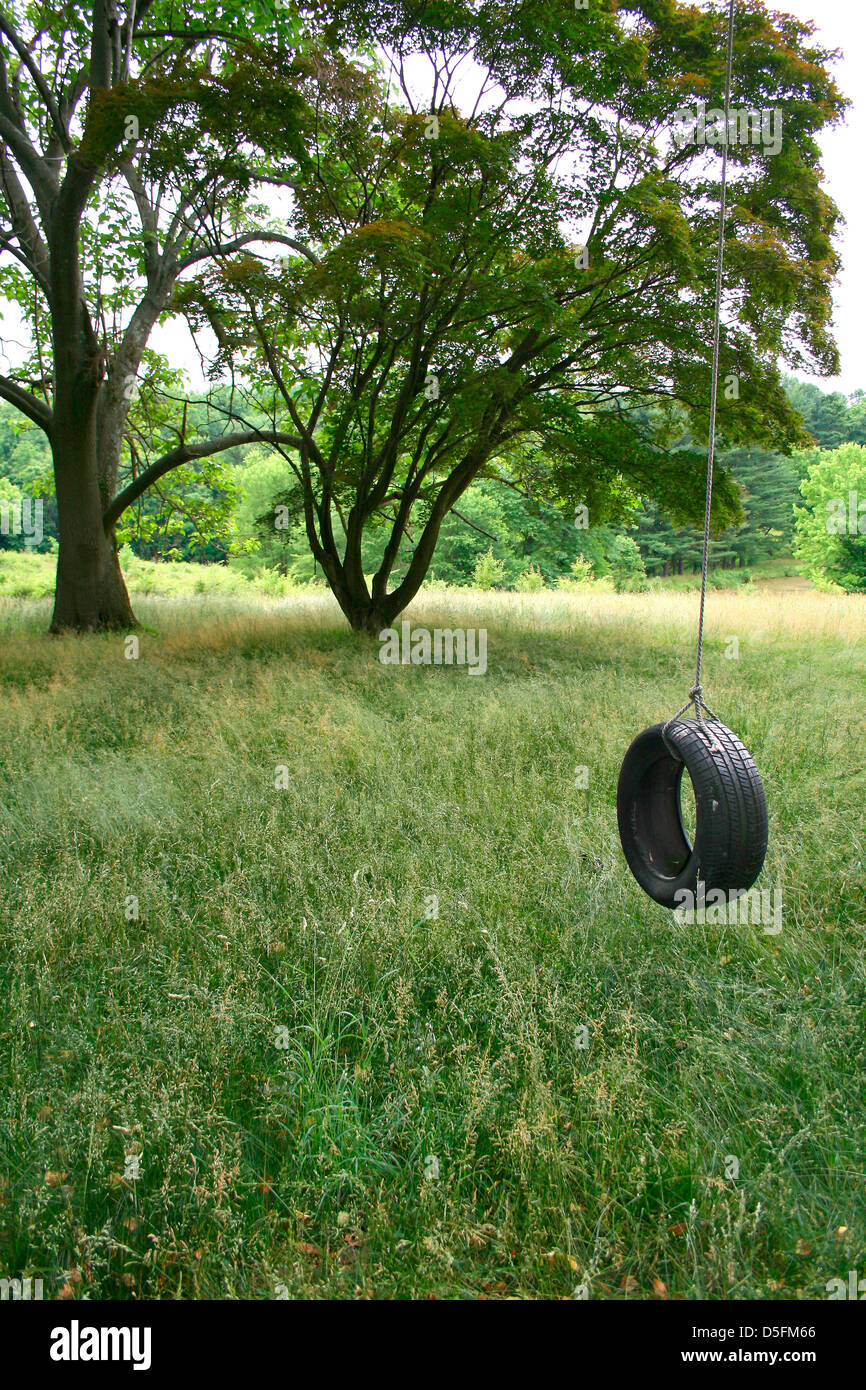 Old swing made with a wheel hanging from a tree Stock Photo - Alamy
