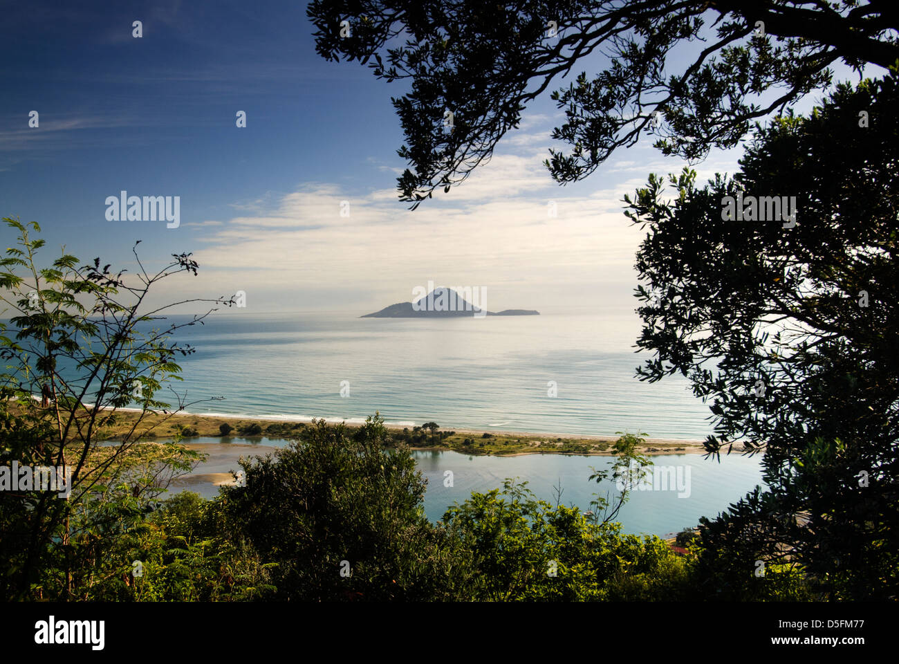 Moutohora whale island hi-res stock photography and images - Alamy