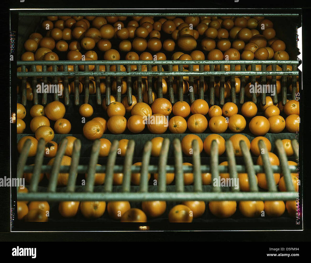 Orange co op packing plant hi-res stock photography and images - Alamy