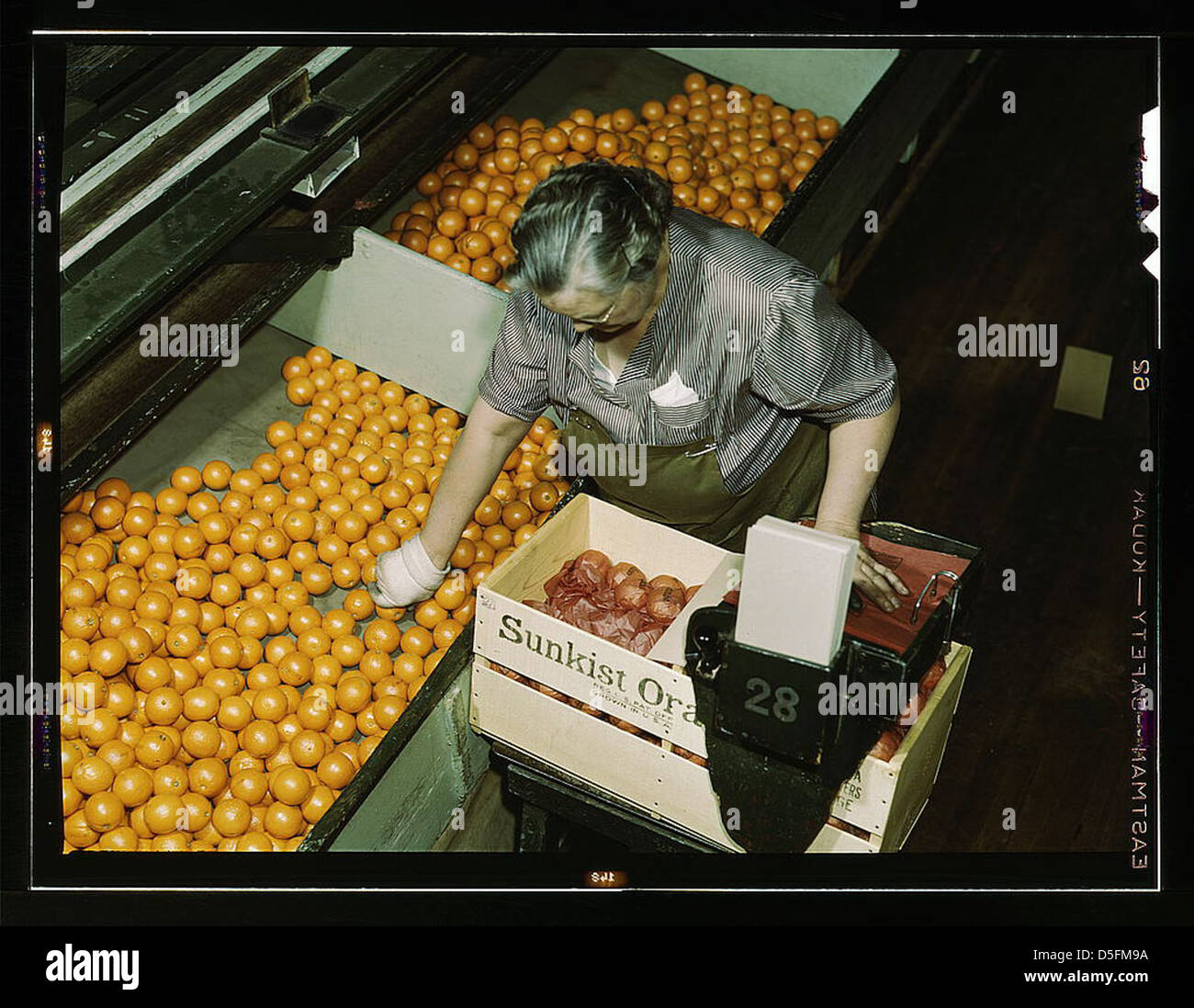 Orange packing at redlands hi-res stock photography and images - Alamy