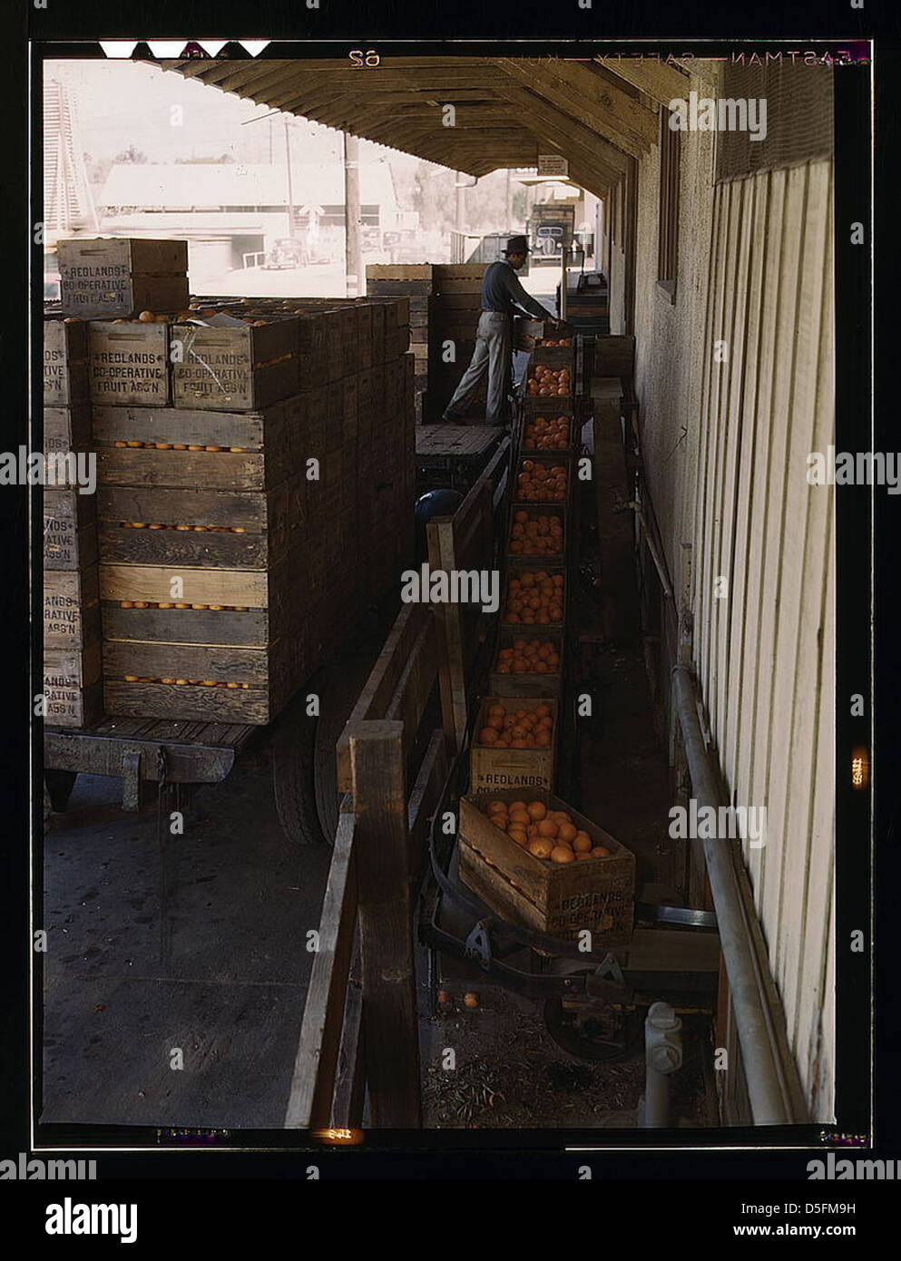 Orange co op packing plant hi-res stock photography and images - Alamy