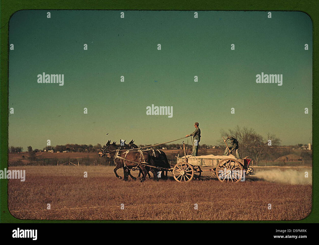 A Southern U.S. farm scene from the 1940s shows a farmer using a mule ...