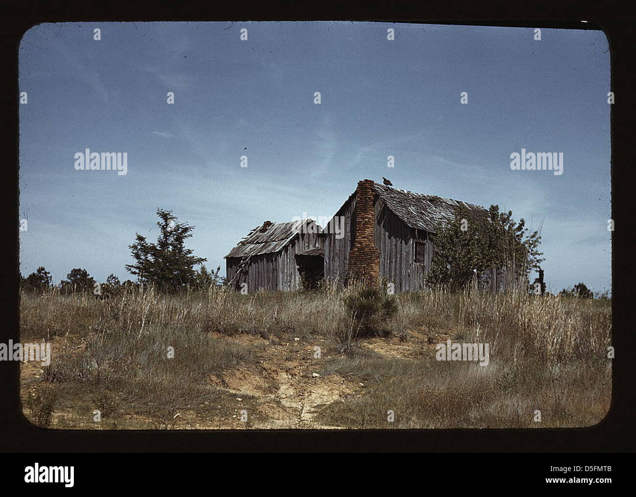 This image from the early 20th century shows a decaying cabin in the ...