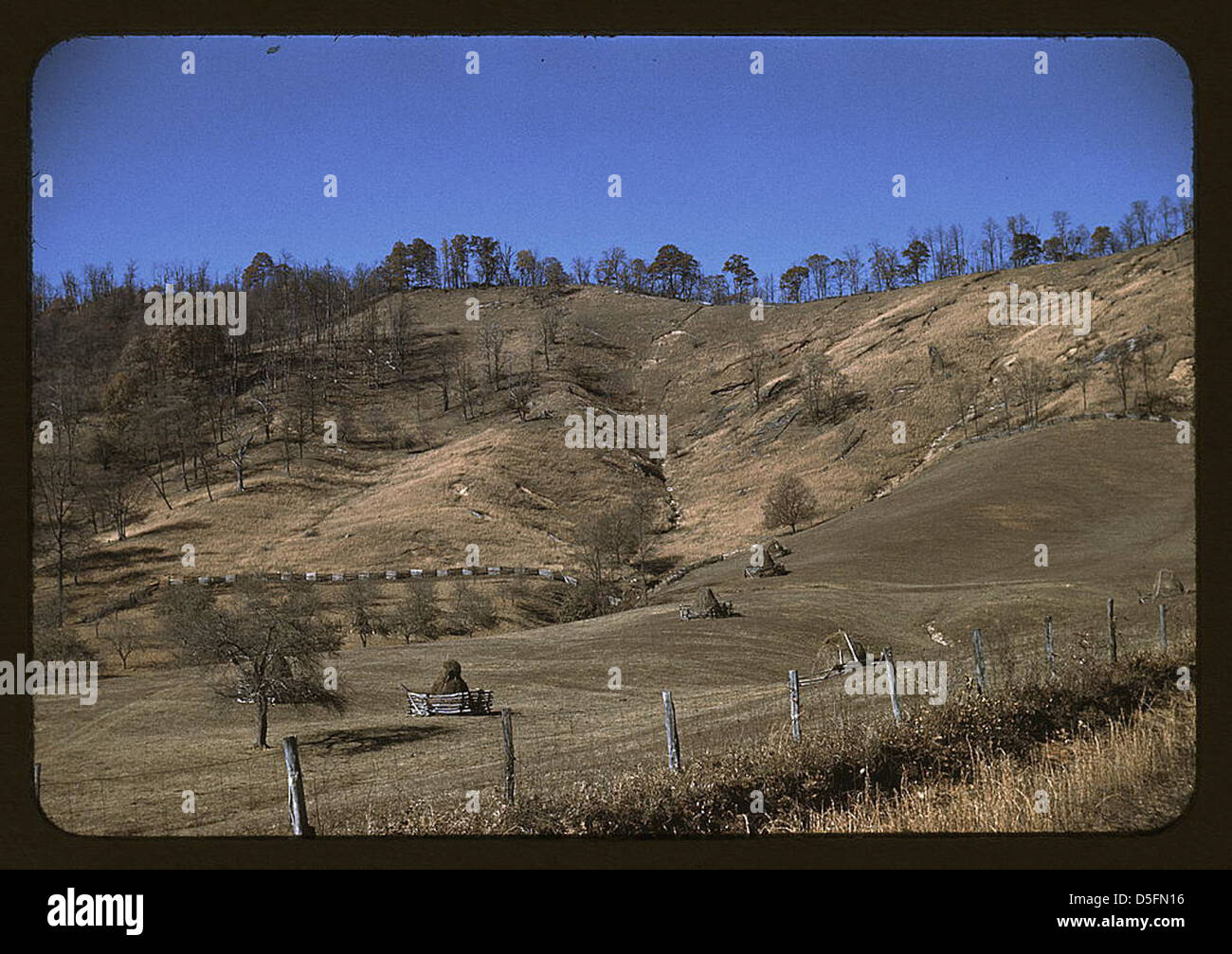 Fence grass trees fenceposts hi-res stock photography and images - Alamy