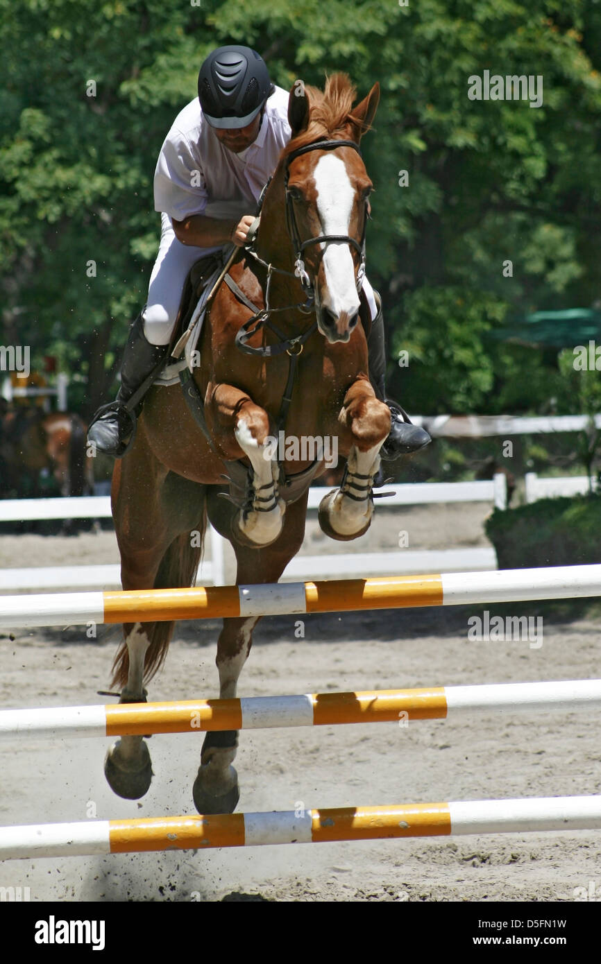 Mare Foal Rider Riding High Resolution Stock Photography and Images - Alamy