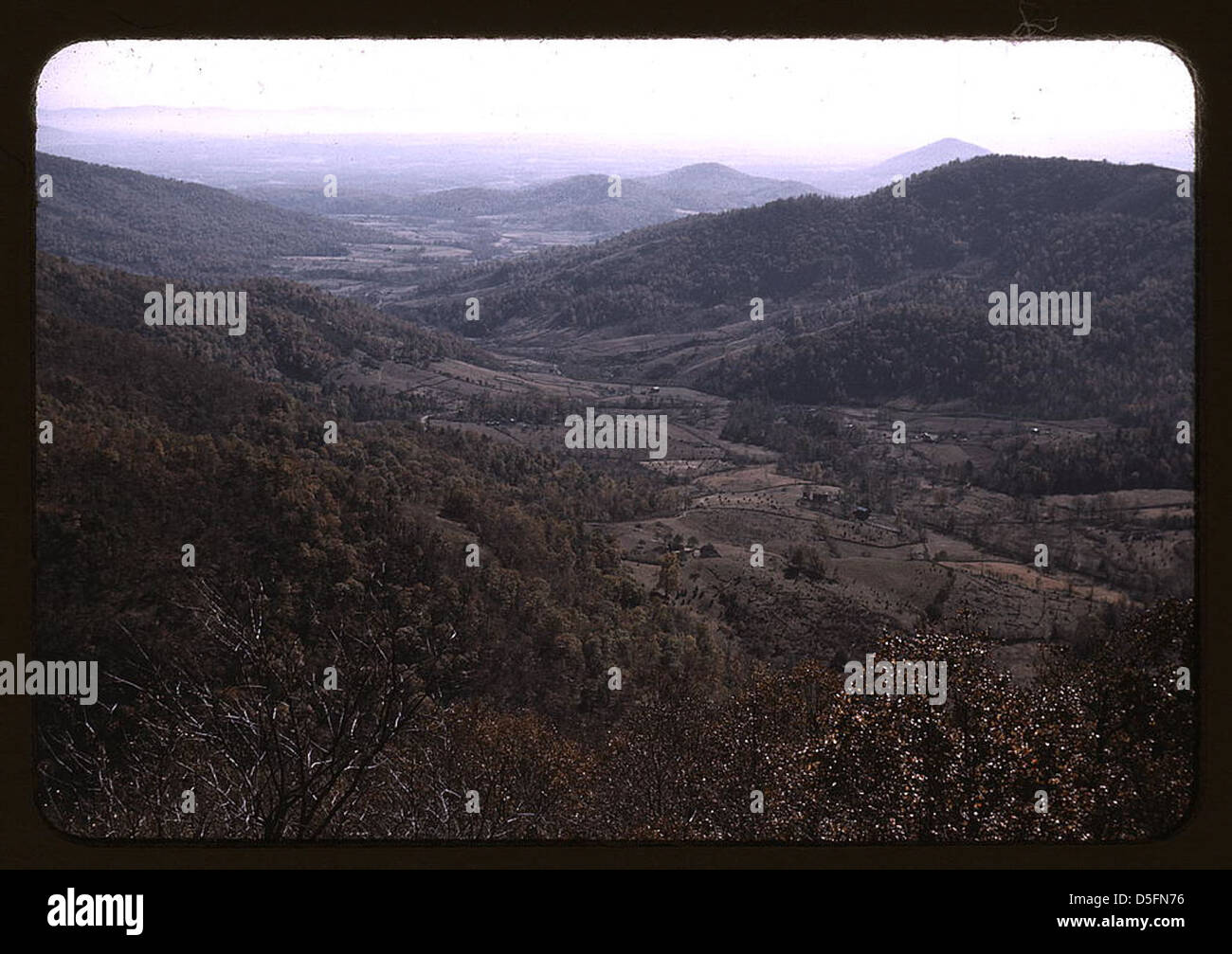 A scenic view of Skyline Drive in Shenandoah National Park, Virginia ...