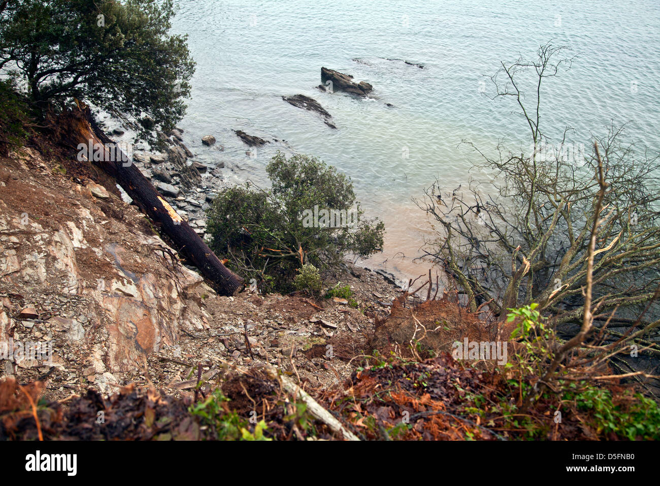collapsed section of a coastal erosion after rain damage with fallen ...