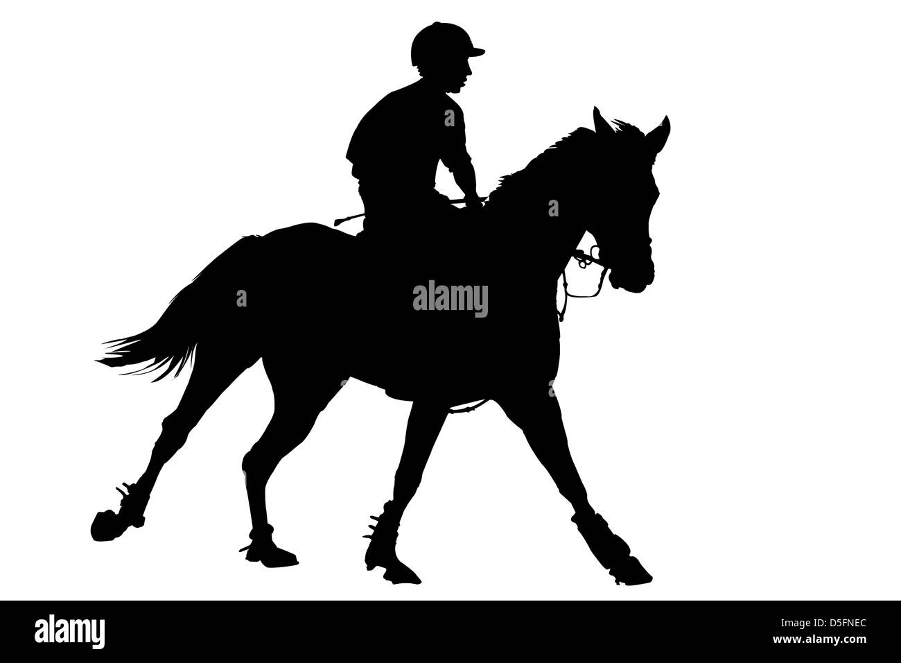 Rider's silhouette on white background Stock Photo - Alamy