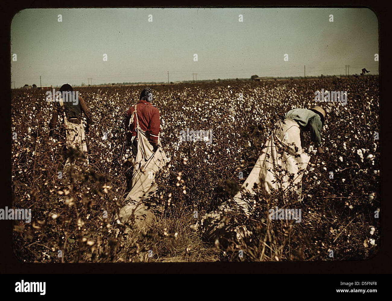 This image, taken in the Mississippi Delta near Clarksdale in the 1930s ...