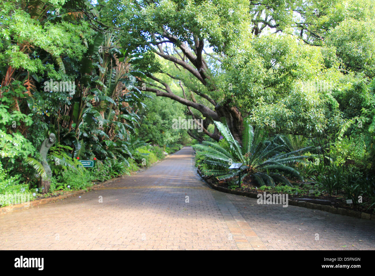 Greenery walk hi-res stock photography and images - Alamy