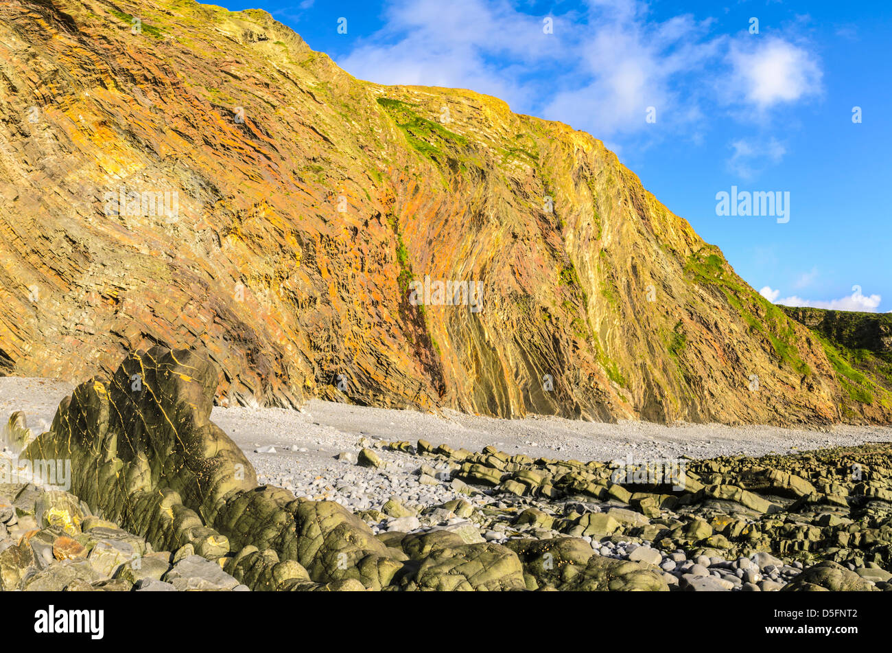 Warren Cliff at Hartland Quay, Devon, England Stock Photo - Alamy