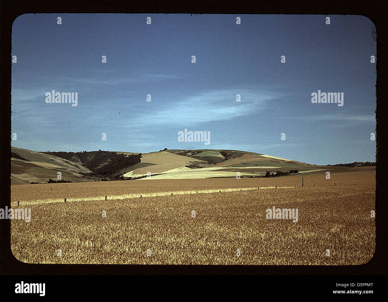 Walla walla farm hi-res stock photography and images - Alamy