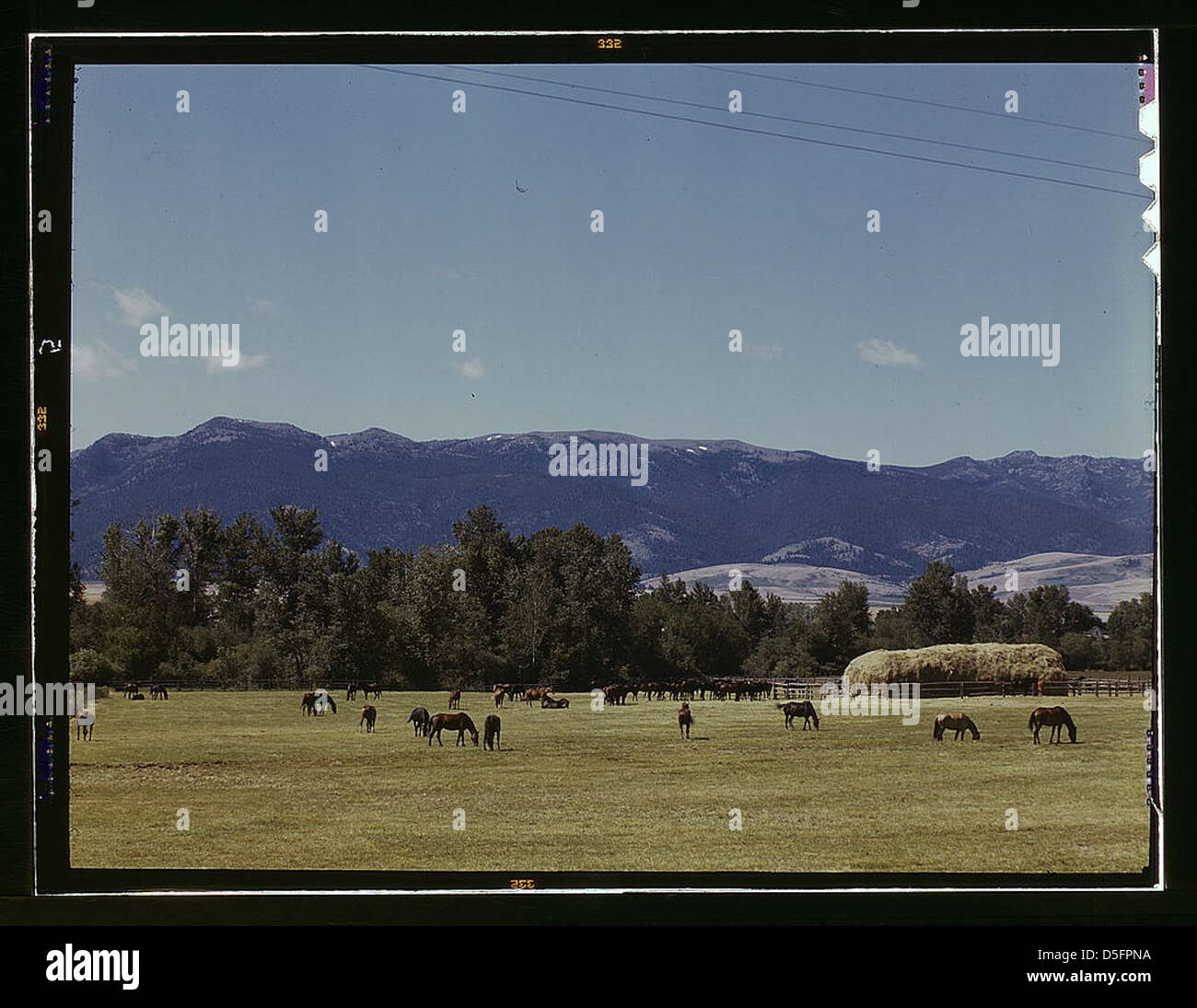 Vintage horse ranch hi-res stock photography and images - Alamy