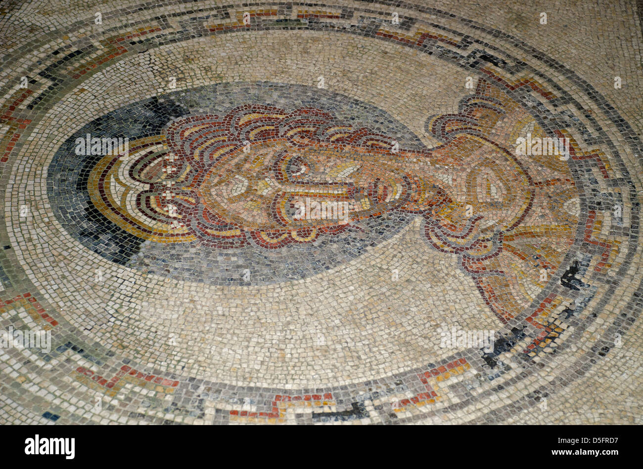 bignor roman villa Stock Photo - Alamy