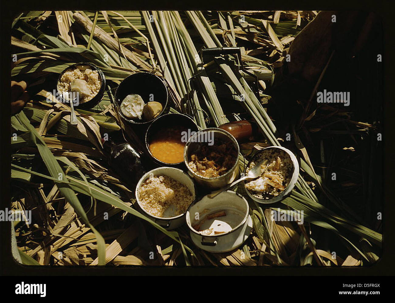 Colonial sugar plantation hi-res stock photography and images - Alamy