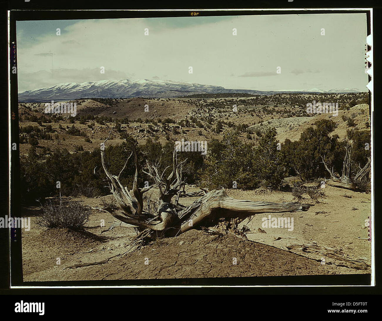 A 1940s landscape photograph of northeastern Utah, featuring desert ...