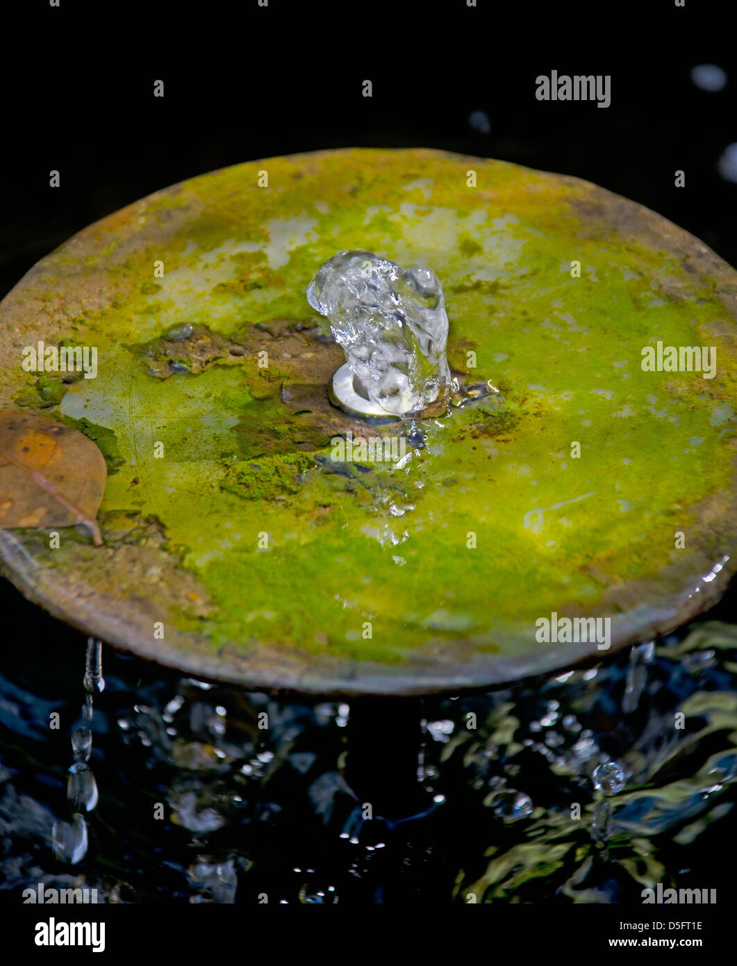 garden water feature Stock Photo - Alamy