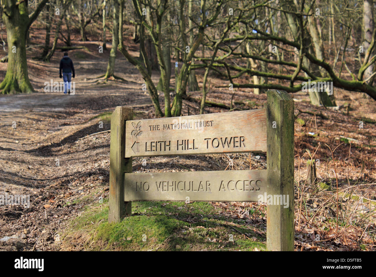 Leith Hill near Dorking Surrey England UK Stock Photo - Alamy
