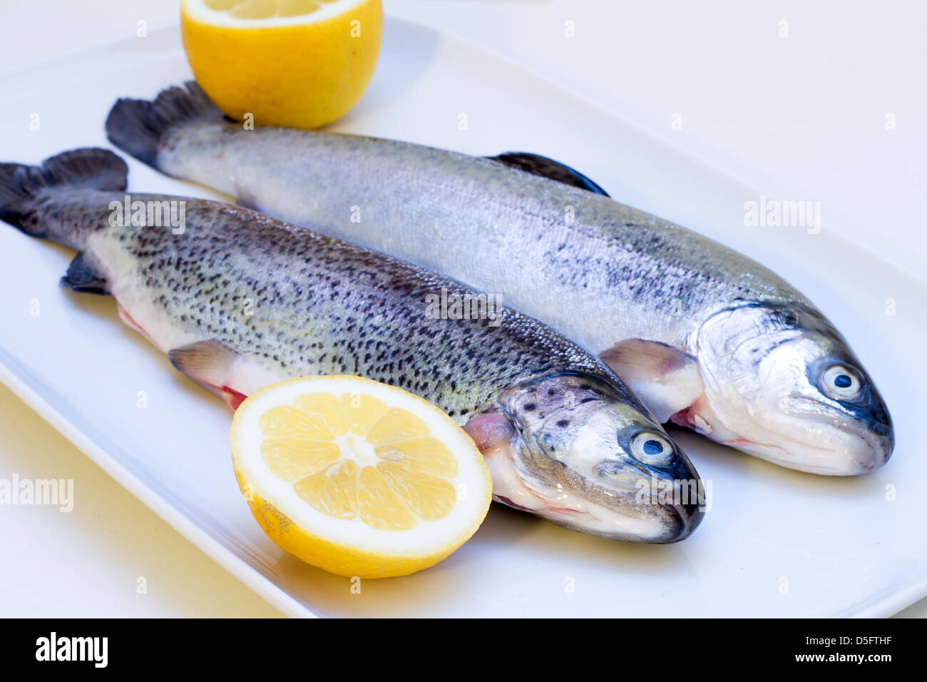 Raw fresh trout fish Stock Photo - Alamy