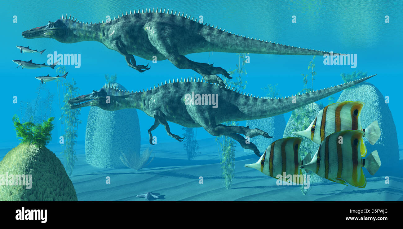Two Suchomimus dinosaurs dive and search for big fish prey to capture ...