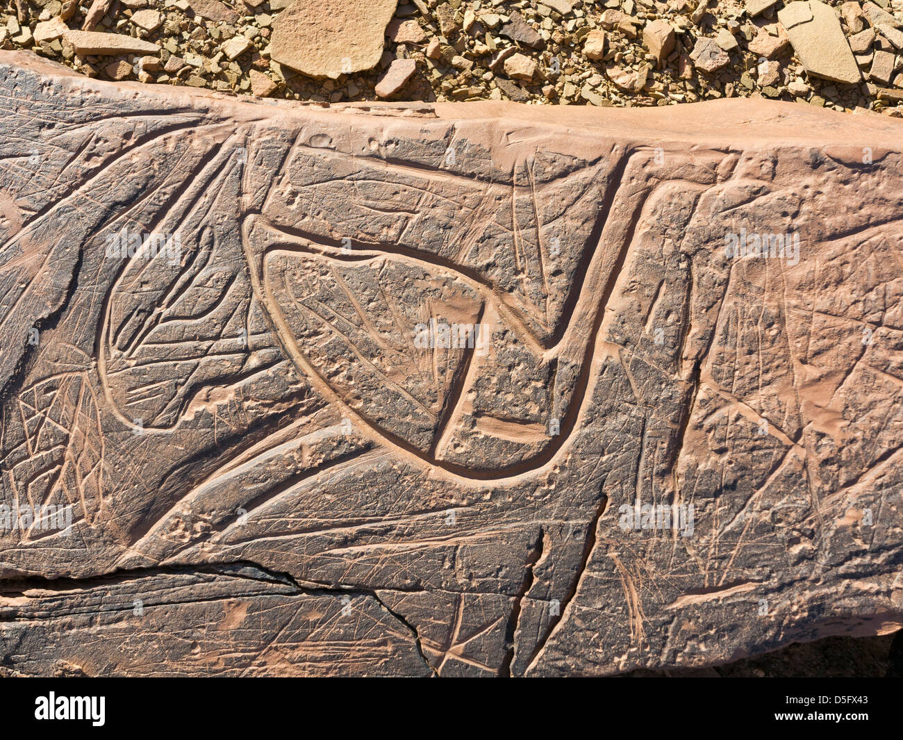 Prehistoric rock carvings at Aman Ighribin on the Tata to Akka road in ...