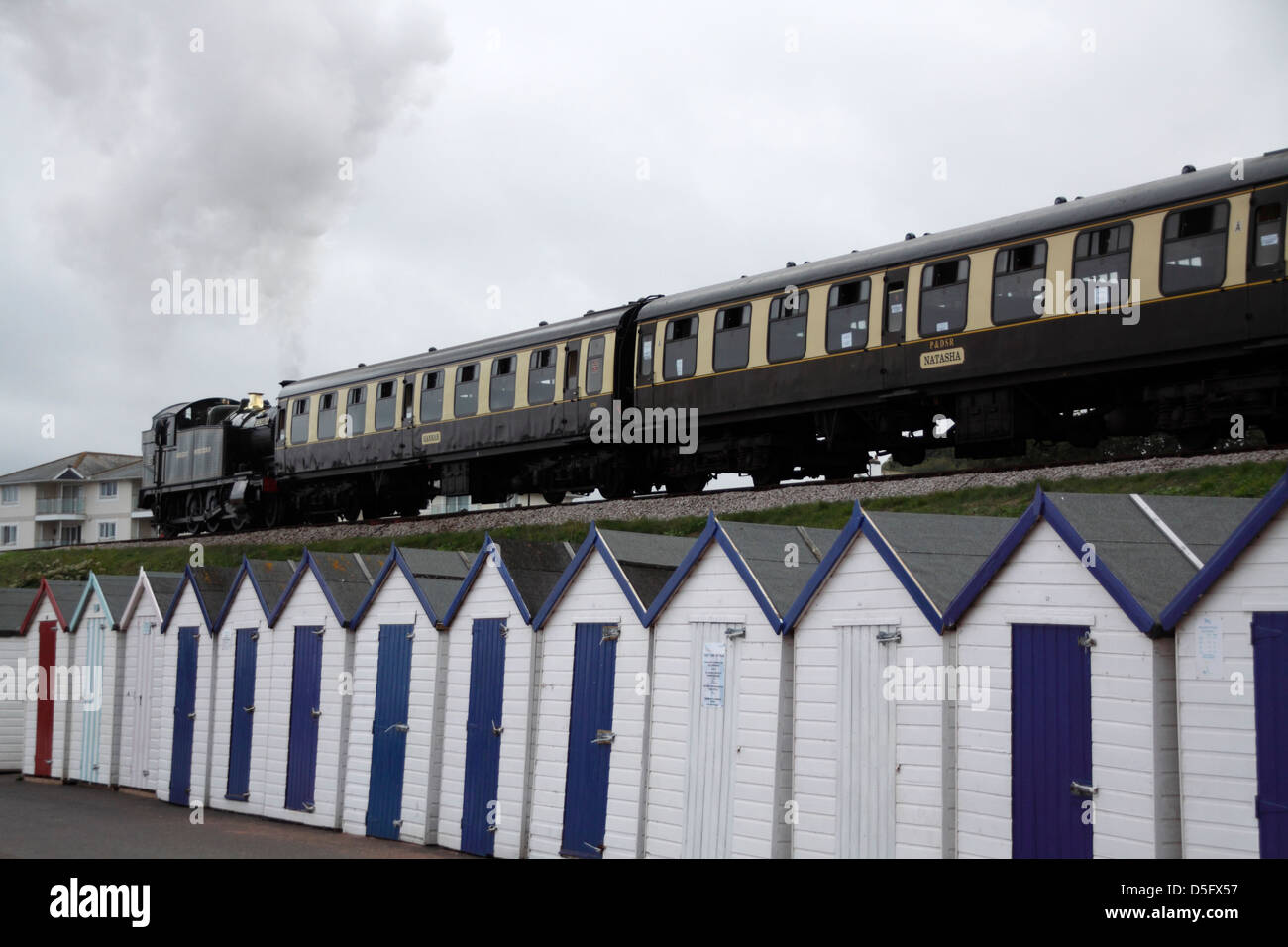 Steam Train at Seafront Paignton Devon Stock Photo - Alamy