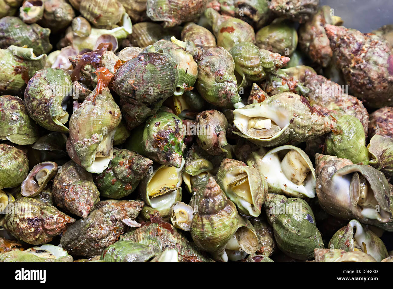 Whelks uk hi-res stock photography and images - Alamy