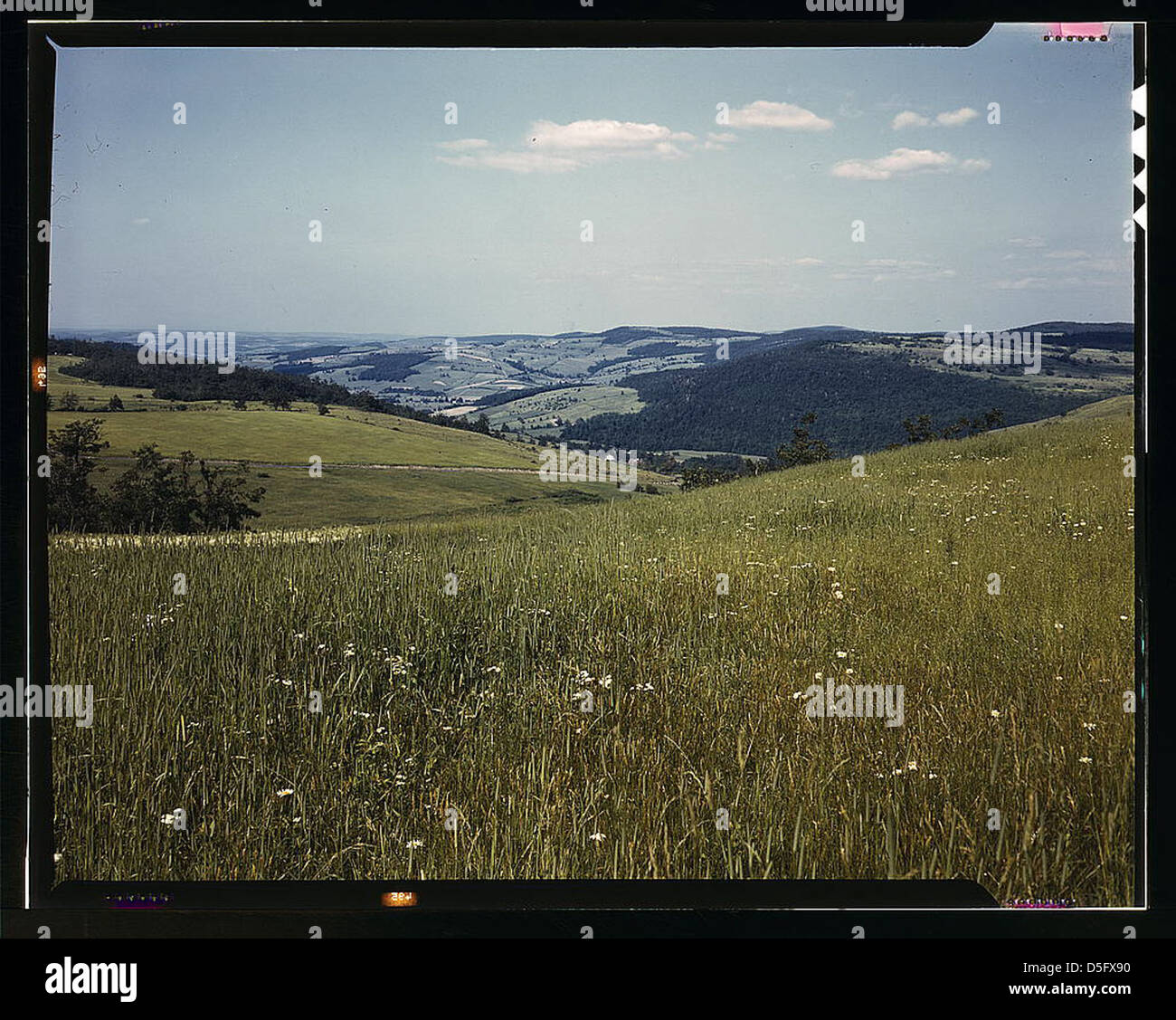 Catskill ny summer hi-res stock photography and images - Alamy