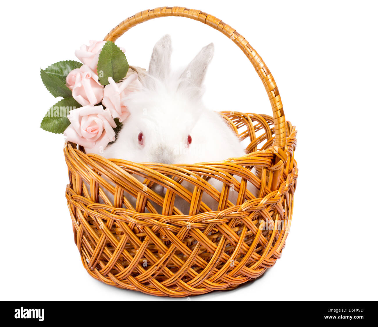 Beautiful little furry white bunny rabbit with a spray of pink roses in ...