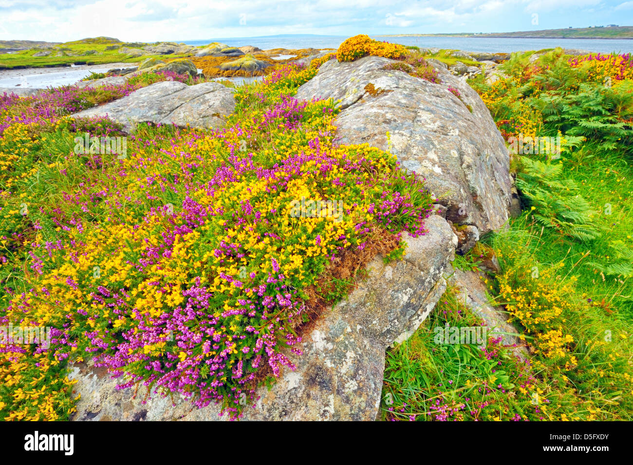 ireland landscape hdr shoot in summer time Stock Photo - Alamy