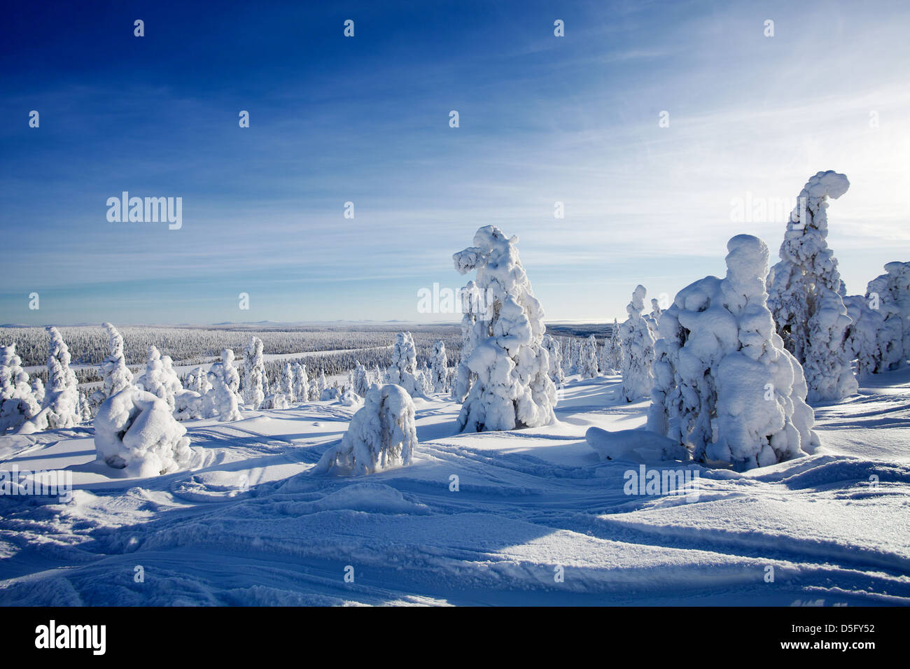 Beautiful sunny winter landscape in Lapland Finland Stock Photo - Alamy
