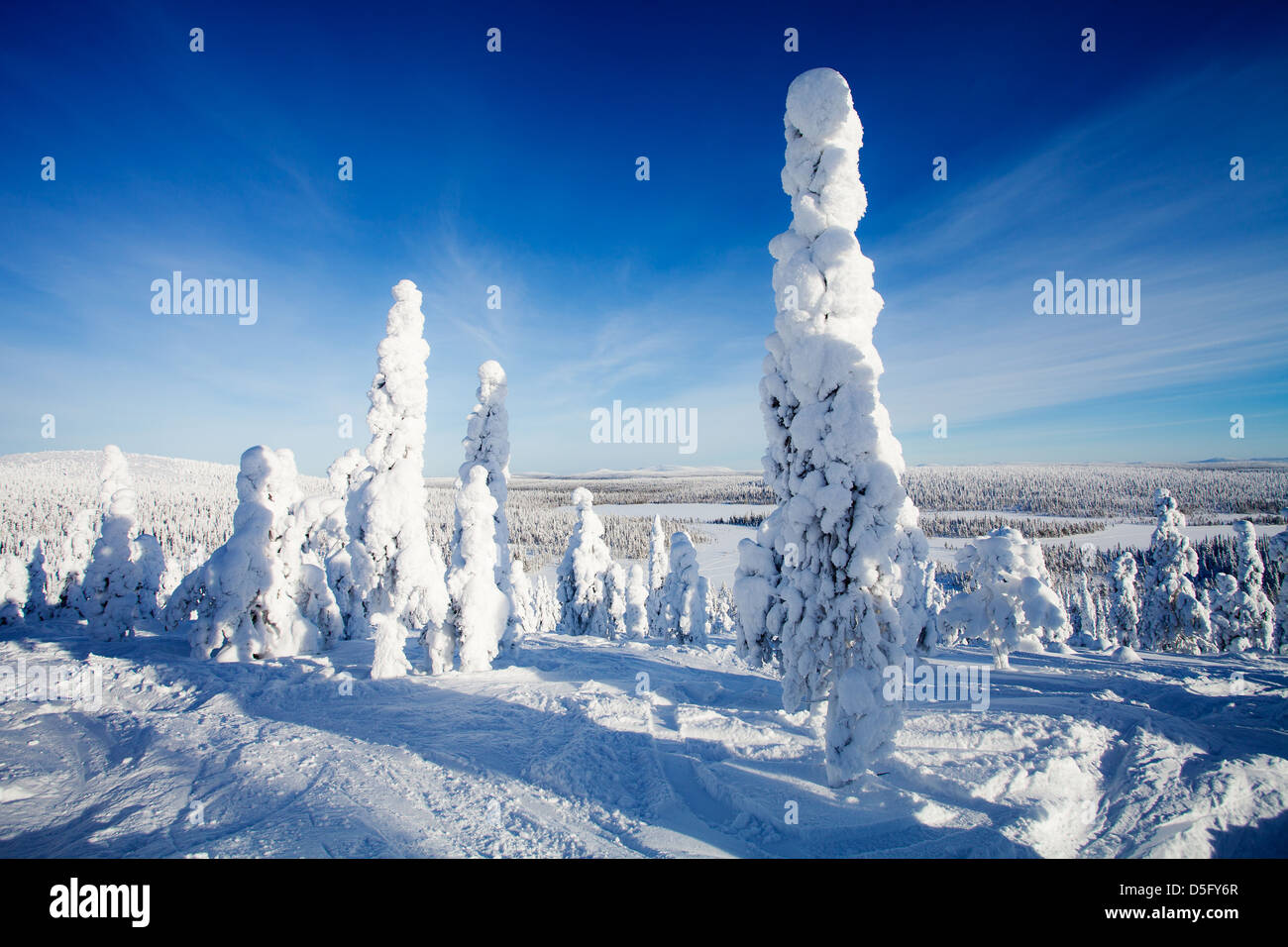 Beautiful sunny winter landscape in Lapland Finland Stock Photo - Alamy