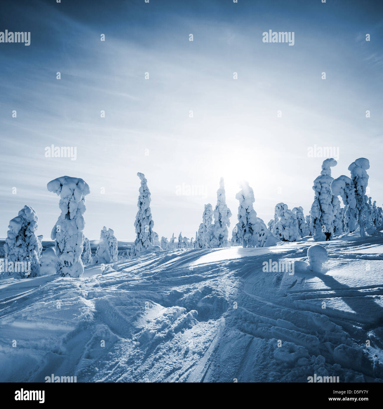 Beautiful sunny winter landscape in Lapland Finland Stock Photo - Alamy