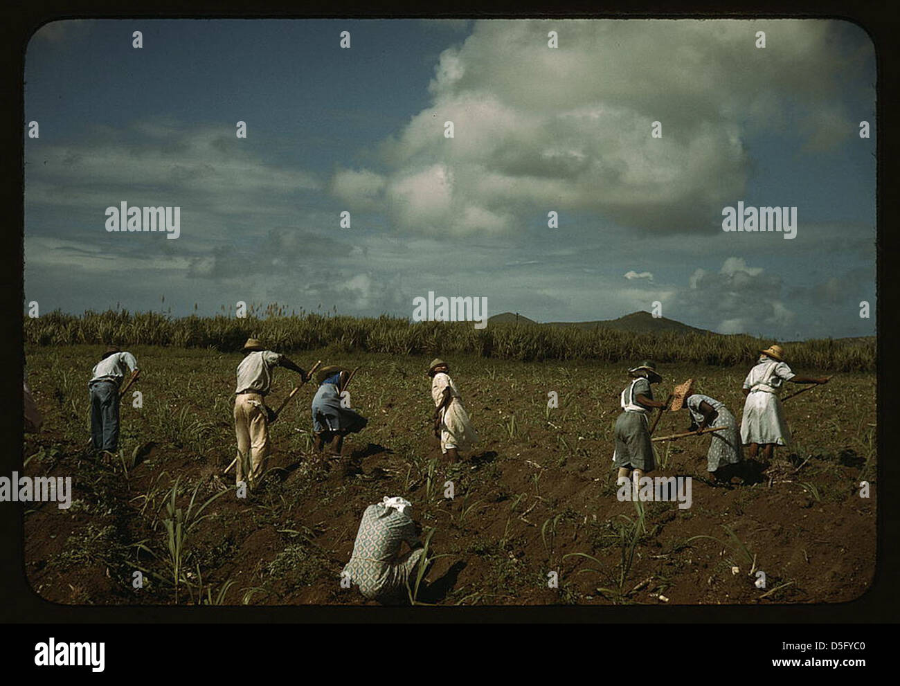 Manual labor 1940s hi-res stock photography and images - Alamy