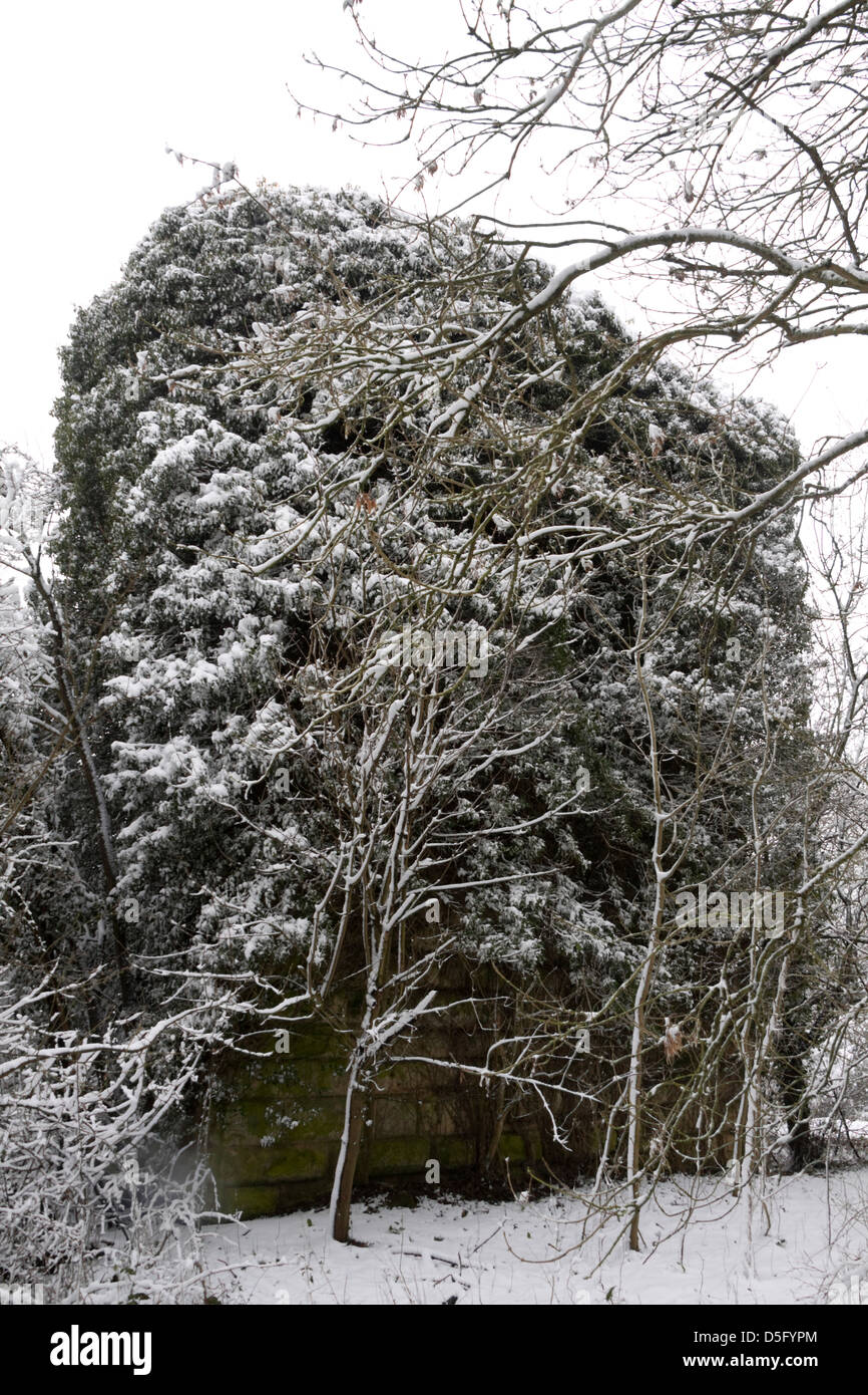 Viaduct Brick Column Hook Norton Oxfordshire England UK Stock Photo - Alamy