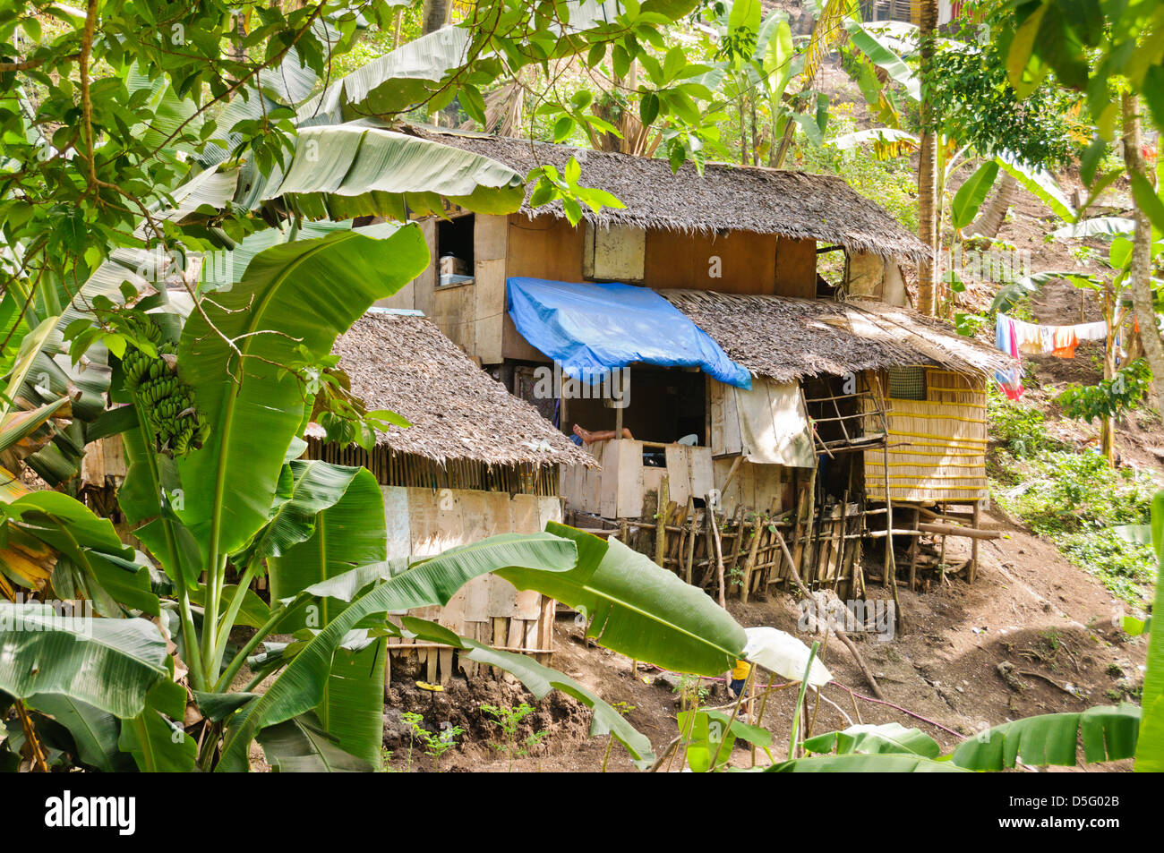 Jungle hut hi-res stock photography and images - Alamy