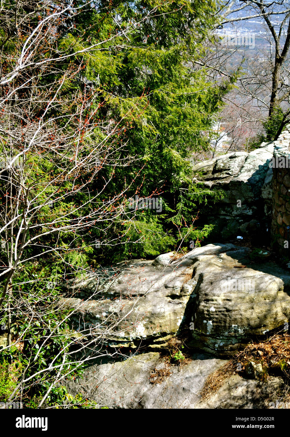 Trees and boulders Stock Photo - Alamy