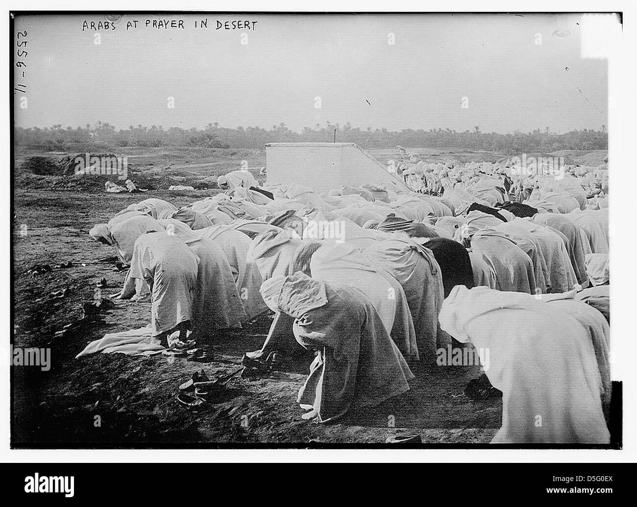 A photograph showing Arabs in prayer in the desert of Algeria ...