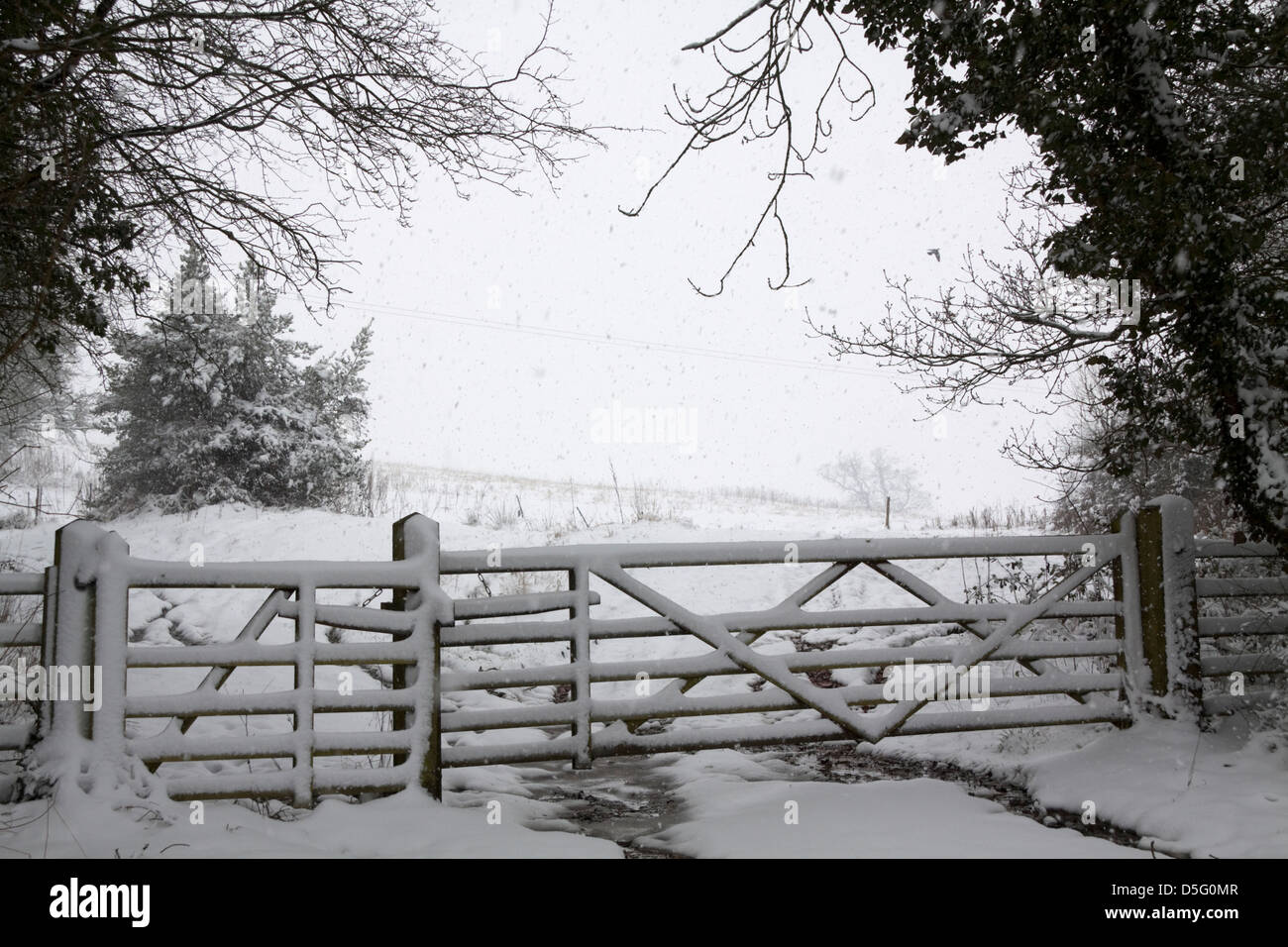 Snowy Gates Hook Norton Oxfordshire England uk Stock Photo - Alamy