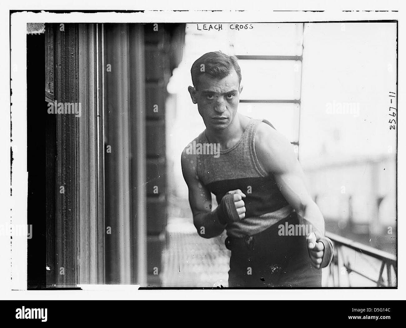 Boxer leach cross hi-res stock photography and images - Alamy